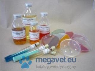 BIOMAXIMA - weterynaryjna diagnostyka laboratoryjna